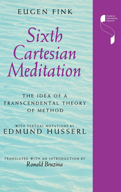 Sixth Cartesian meditation : the idea of a transcendental theory of ...