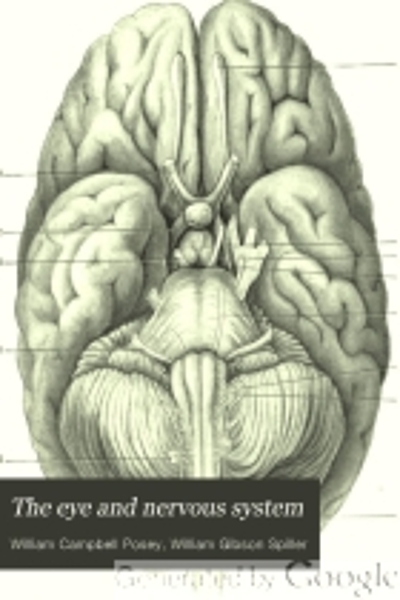 The eye and nervous system, their diagnostic relations | WorldCat.org