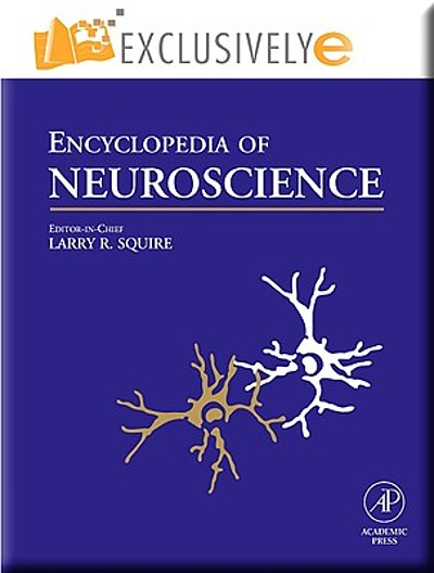 Encyclopedia of neuroscience | WorldCat.org
