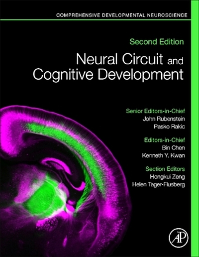 Neural circuit and cognitive development : comprehensive developmental ...