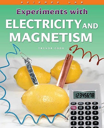 Experiments with electricity and magnetism | WorldCat.org