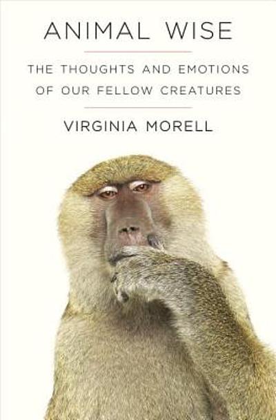 Animal wise : the thoughts and emotions of our fellow creatures ...