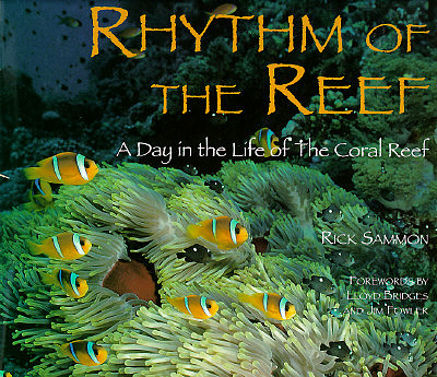 Rhythm of the reef : a day in the life of the coral reef | WorldCat.org