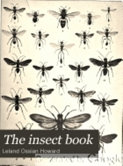 The insect book : a popular account of the bees, wasps, ants ...
