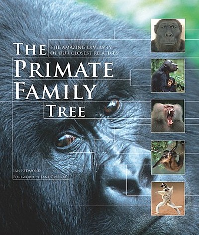 The primate family tree : the amazing diversity of our closest ...