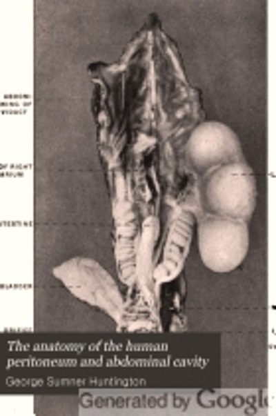 The anatomy of the human peritoneum and abdominal cavity considered ...