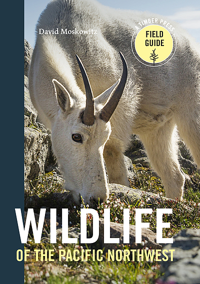 Wildlife of the Pacific Northwest : tracking and identifying mammals ...