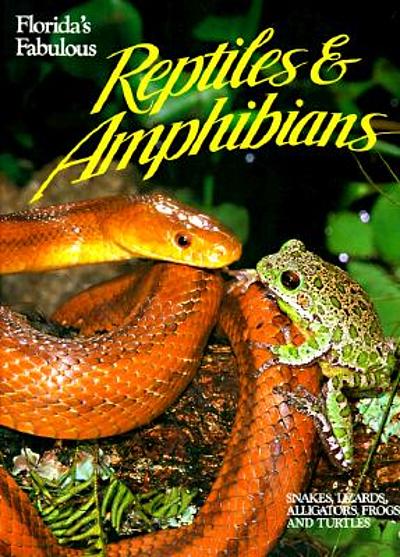 Florida's fabulous reptiles & amphibians : snakes, lizards, alligators ...