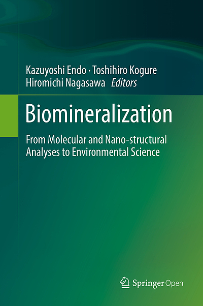 Biomineralization : from molecular and nano-structural analyses to ...