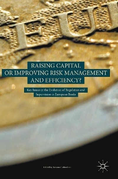 Raising capital or improving risk management and efficiency? : key ...