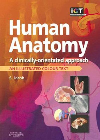 Human Anatomy A Clinically Orientated Approach An Illustrated