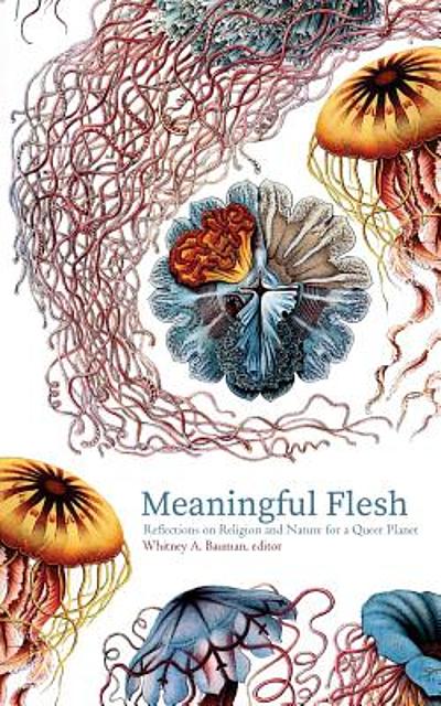 Meaningful flesh : reflections on religion and nature for a queer ...