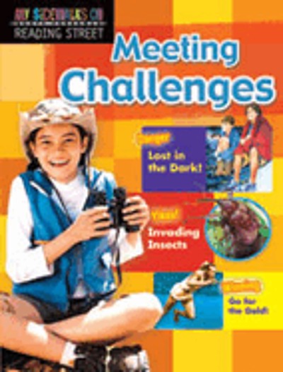 My sidewalks on reading street. Level E : intensive reading ...