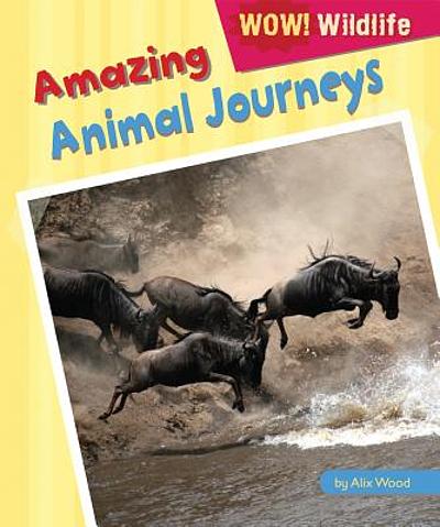 Amazing animal journeys | WorldCat.org