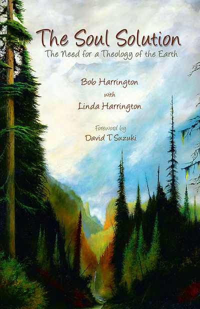 The soul solution : the need for a theology of the earth | WorldCat.org