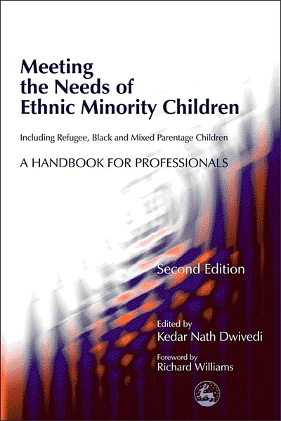 Meeting the needs of ethnic minority children - including refugee ...
