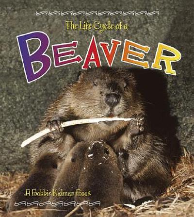 The life cycle of a beaver | WorldCat.org