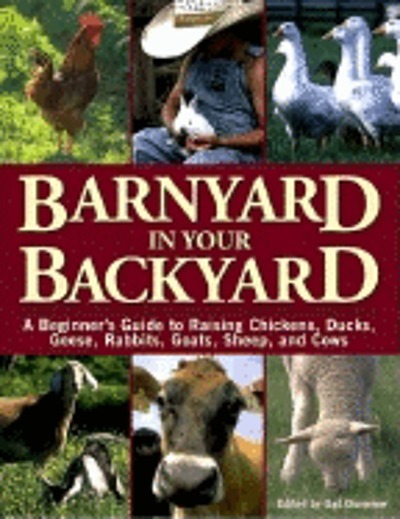 Barnyard in your backyard : a beginner's guide to raising chickens ...