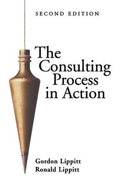 The consulting process in action | WorldCat.org