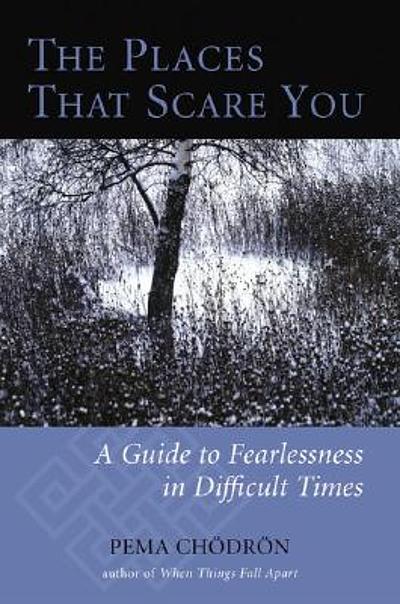 The places that scare you : a guide to fearlessness in difficult times ...