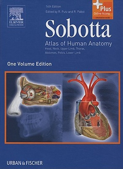 Sobotta : atlas of human anatomy : head, neck, upper limb, thorax ...