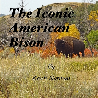 The iconic American bison | WorldCat.org