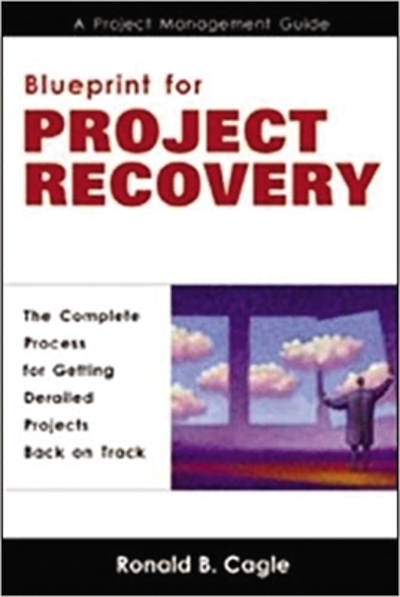 Blueprint for project recovery : a project management guide : the ...