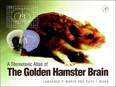 A stereotaxic atlas of the golden hamster brain | WorldCat.org
