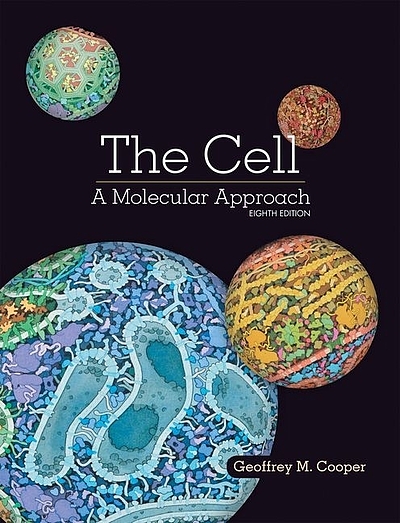 The cell : a molecular approach | WorldCat.org