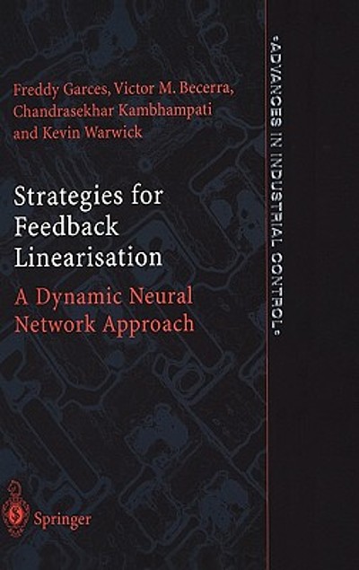 Strategies For Feedback Linearisation A Dynamic Neural Network Approach