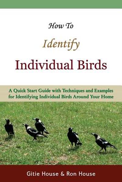How to identify individual birds : a quick start guide with techniques ...