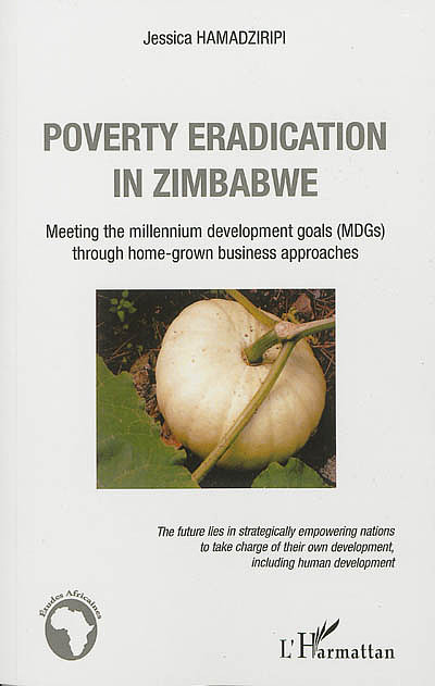 Poverty eradication in zimbabwe : meeting the millennium development ...