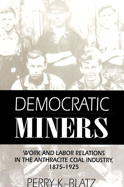 Democratic miners : work and labor relations in the anthracite coal ...