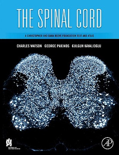 The spinal cord : a Christopher and Dana Reeve Foundation text and ...