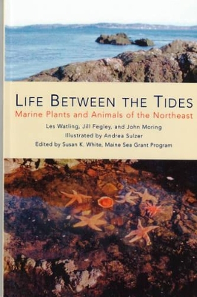 Life between the tides : marine plants and animals of the Northeast ...