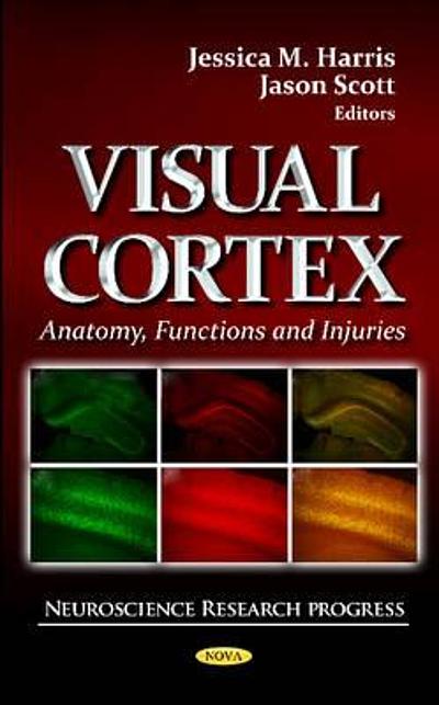 Visual Cortex Anatomy Functions And Injuries