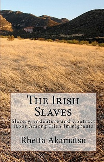 The Irish slaves : [slavery, indenture and contract labor among Irish ...